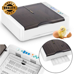 Inkubatoriai gera kaina internetu | UrmoKaina.lt