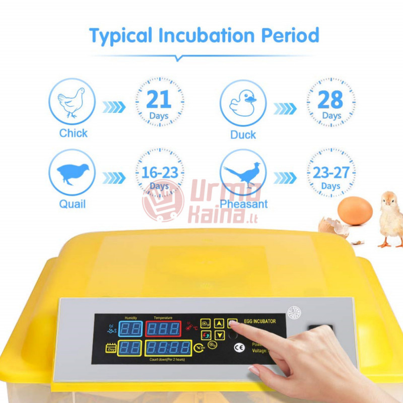 Automatinis kiaušinių inkubatorius IN-48DDI