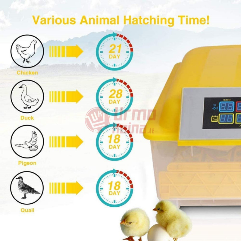 Automatinis kiaušinių inkubatorius IN-48DDI