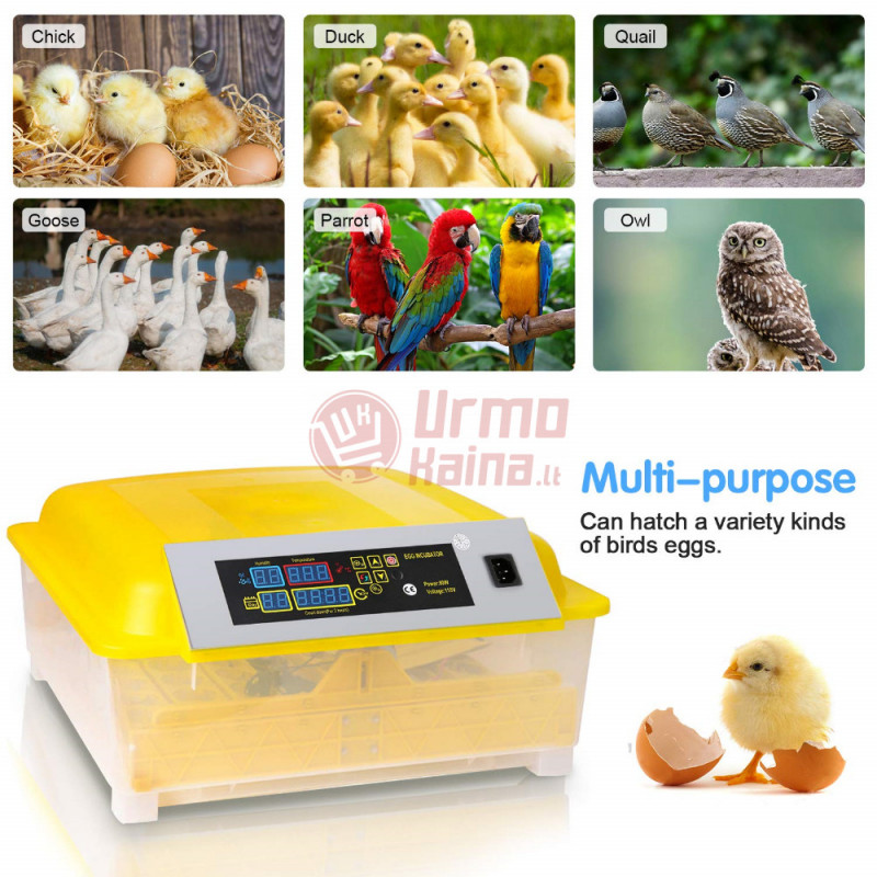 Automatinis kiaušinių inkubatorius IN-48DDI