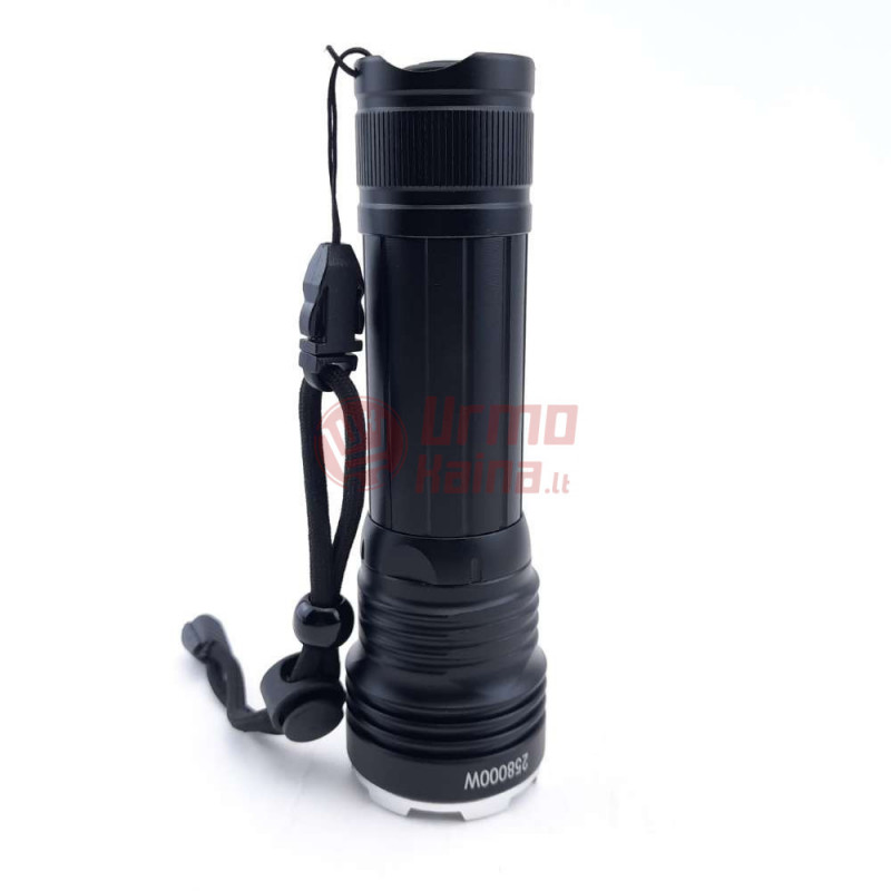 Rankinis prožektorius RP3991