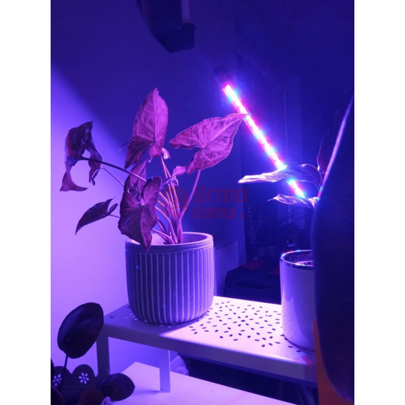 Augalų auginimo lempa Gardlov 19241 40LED