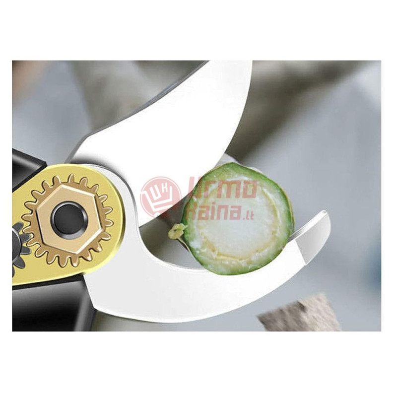 Akumuliatorinės genėjimo žirklės – sekatorius + 2 akumuliatoriai MS113