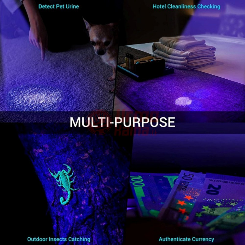 Rankinis prožektorius Q3 su UV LED