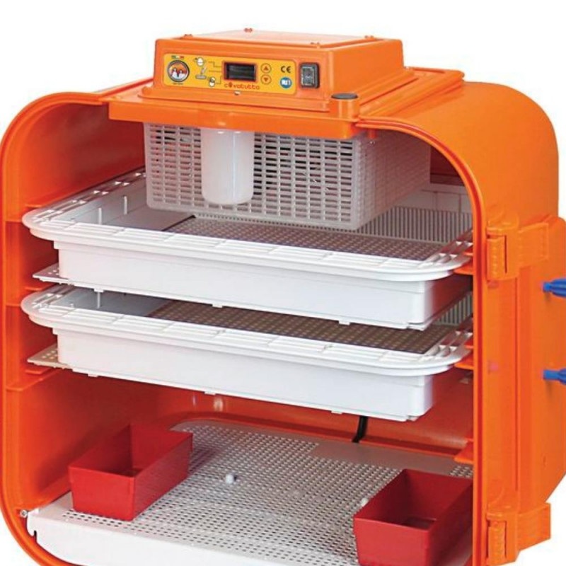 Kiaušinių inkubatorius Covatutto 108 Digital