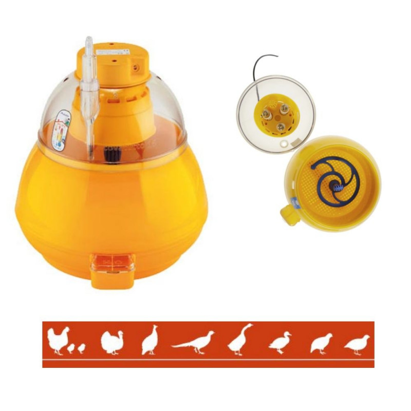 Kiaušinių inkubatorius Covatutto 16 L