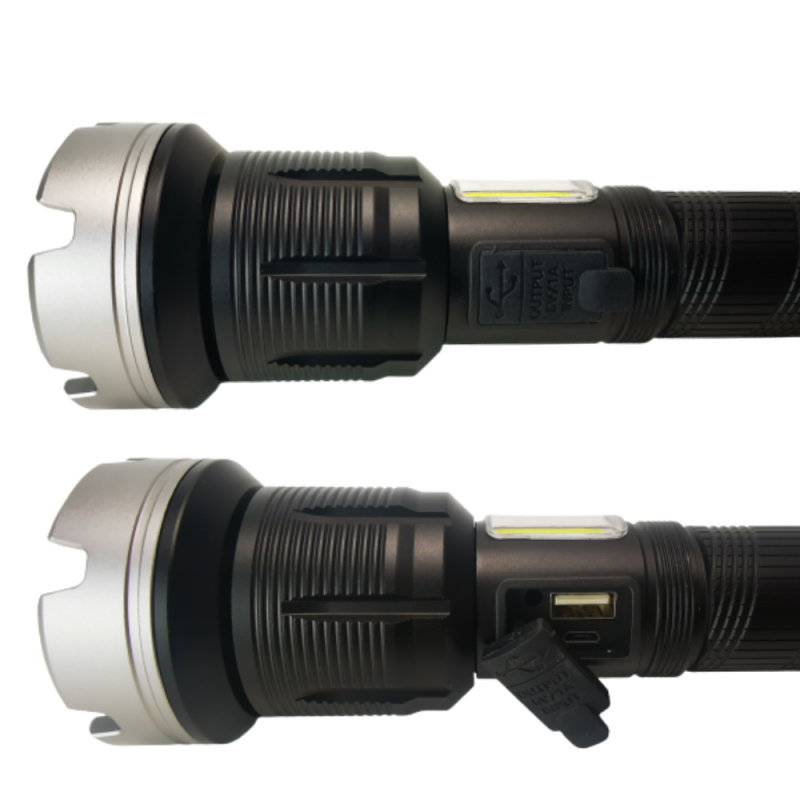 Rankinis prožektorius P120