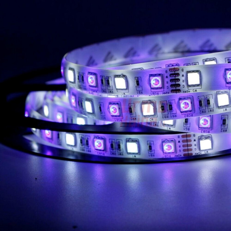 Profesionalus LED juostos rinkinys, 5050 RGB+W LED su pulteliu